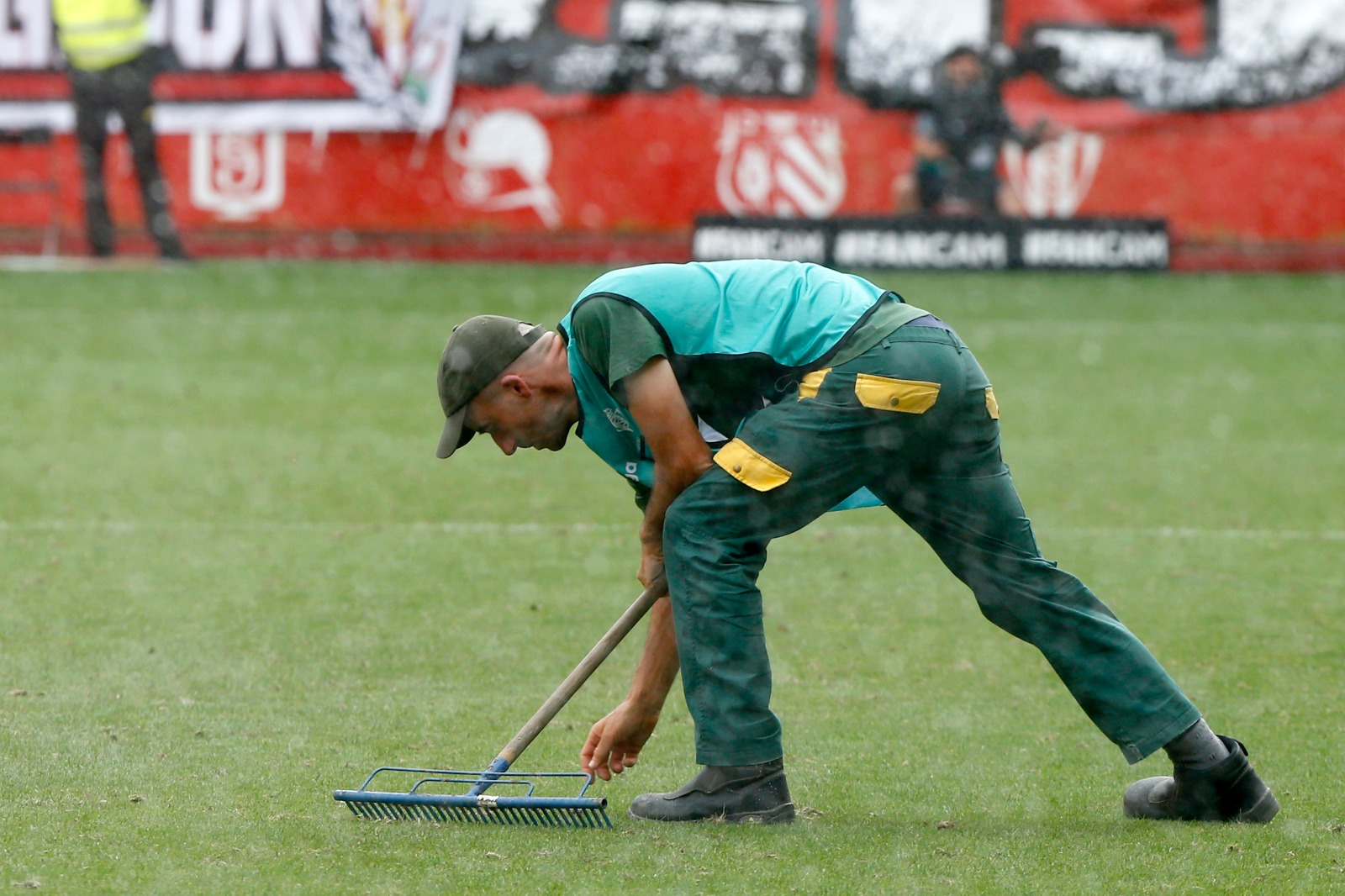 Pyricularia en el verde de El Molinón, que ya no cumple las normas de ...